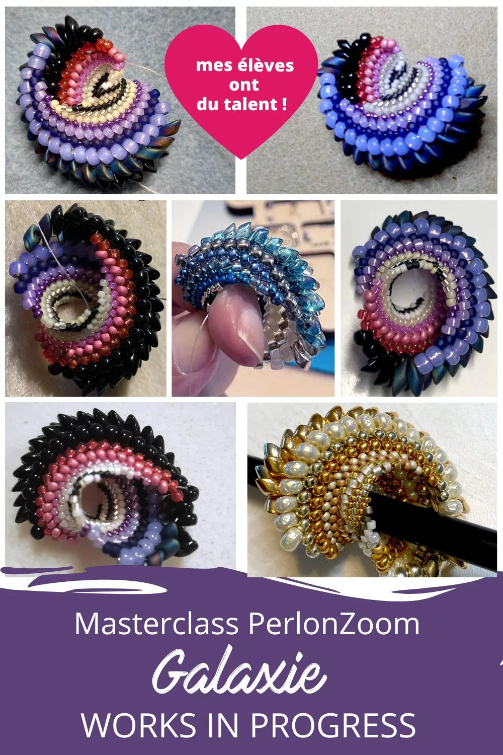 Masterclass visio GALAXIE : Works in Progress - PerlonZen Académie